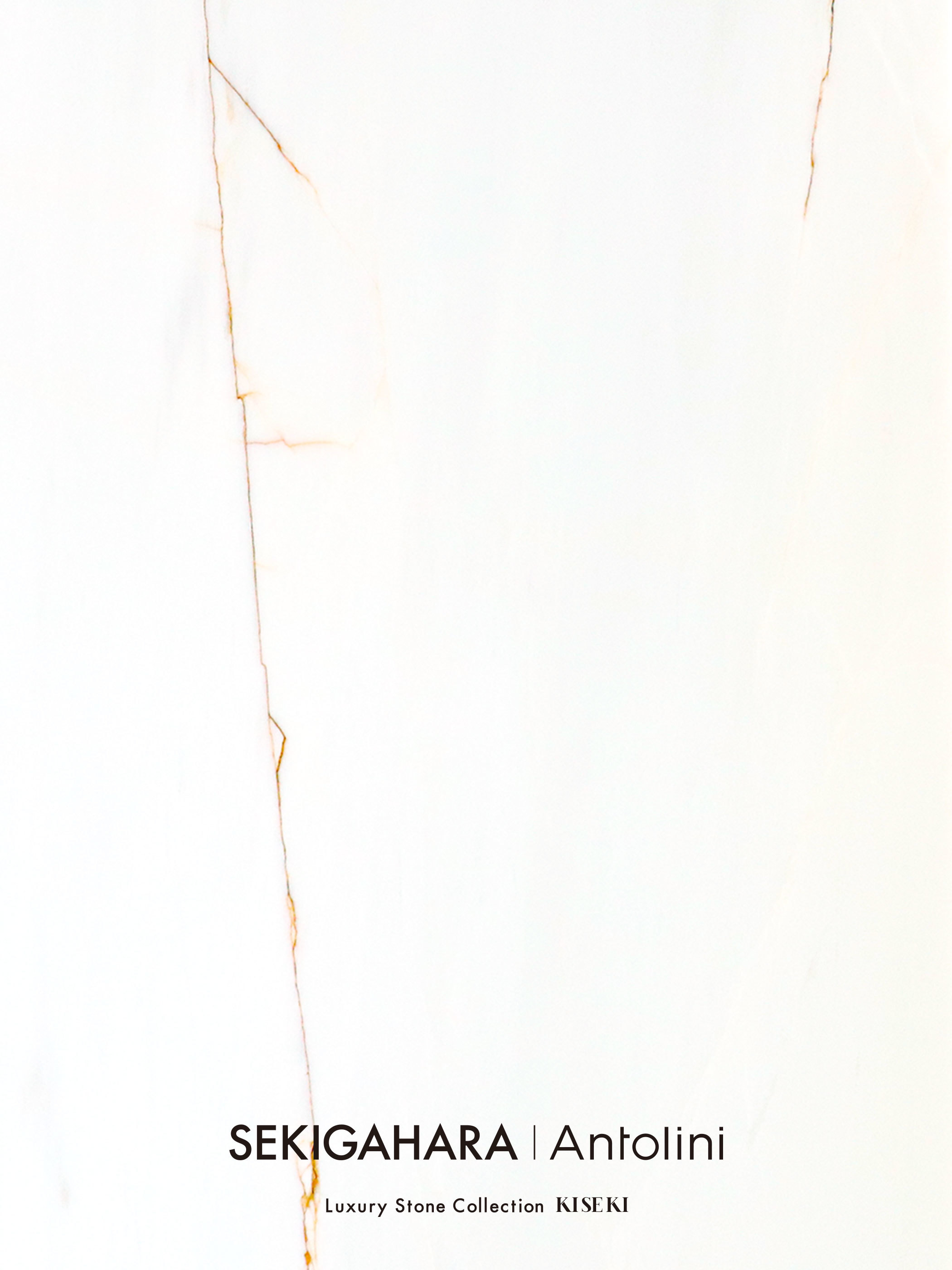 ISHIZO | サハラブラン A4 004